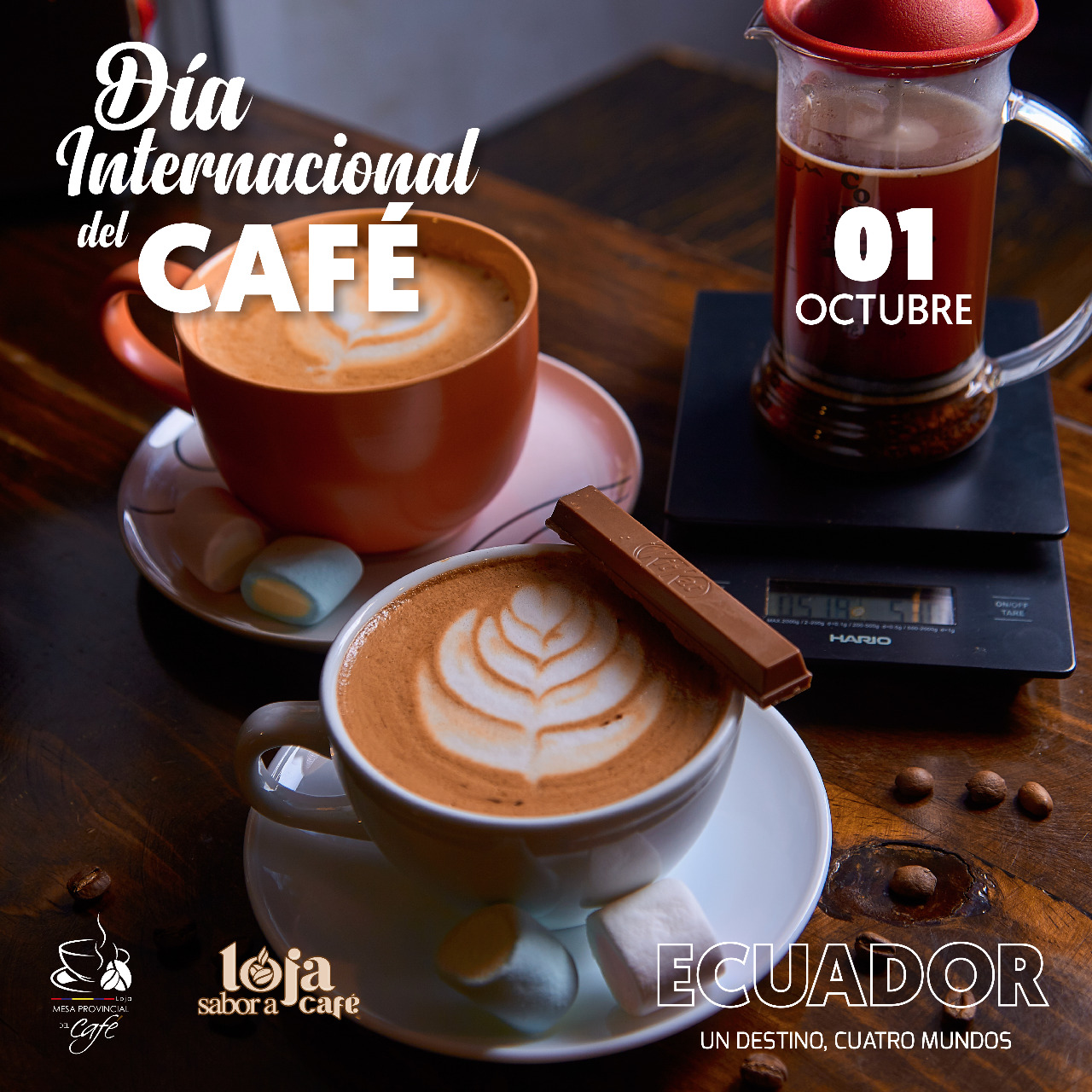 Aromas, sabores y texturas se vivieron en la IX edición «Loja sabor a ...