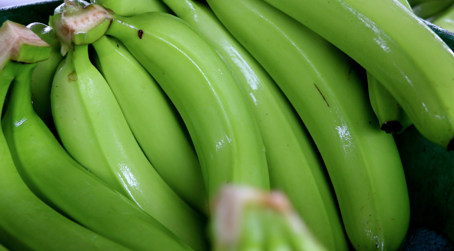 El banano ecuatoriano tiene nuevo precio mínimo de sustentación de US ...