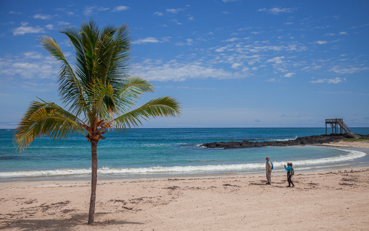 Isabela, la isla más grande de Galápagos, celebra sus 49 años de ...