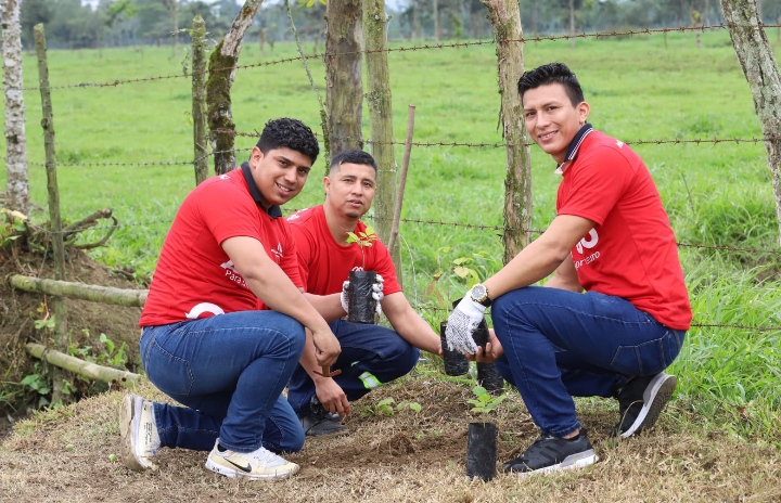 Arca Ecuador contribuye a la acción climática y reducción de CO2 ...