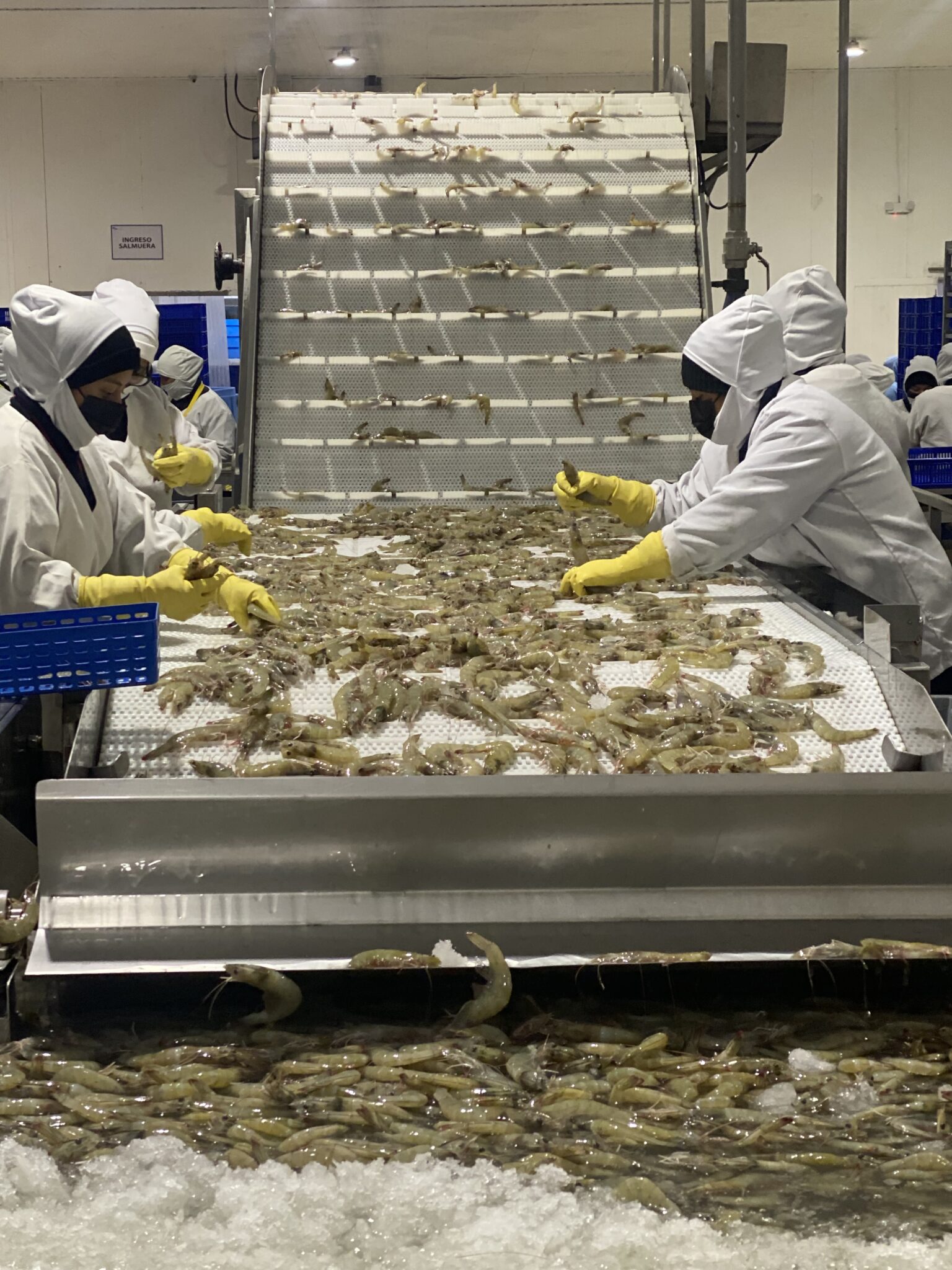 Nirsa: 67 años impulsando la economía y sostenibilidad del Ecuador ...