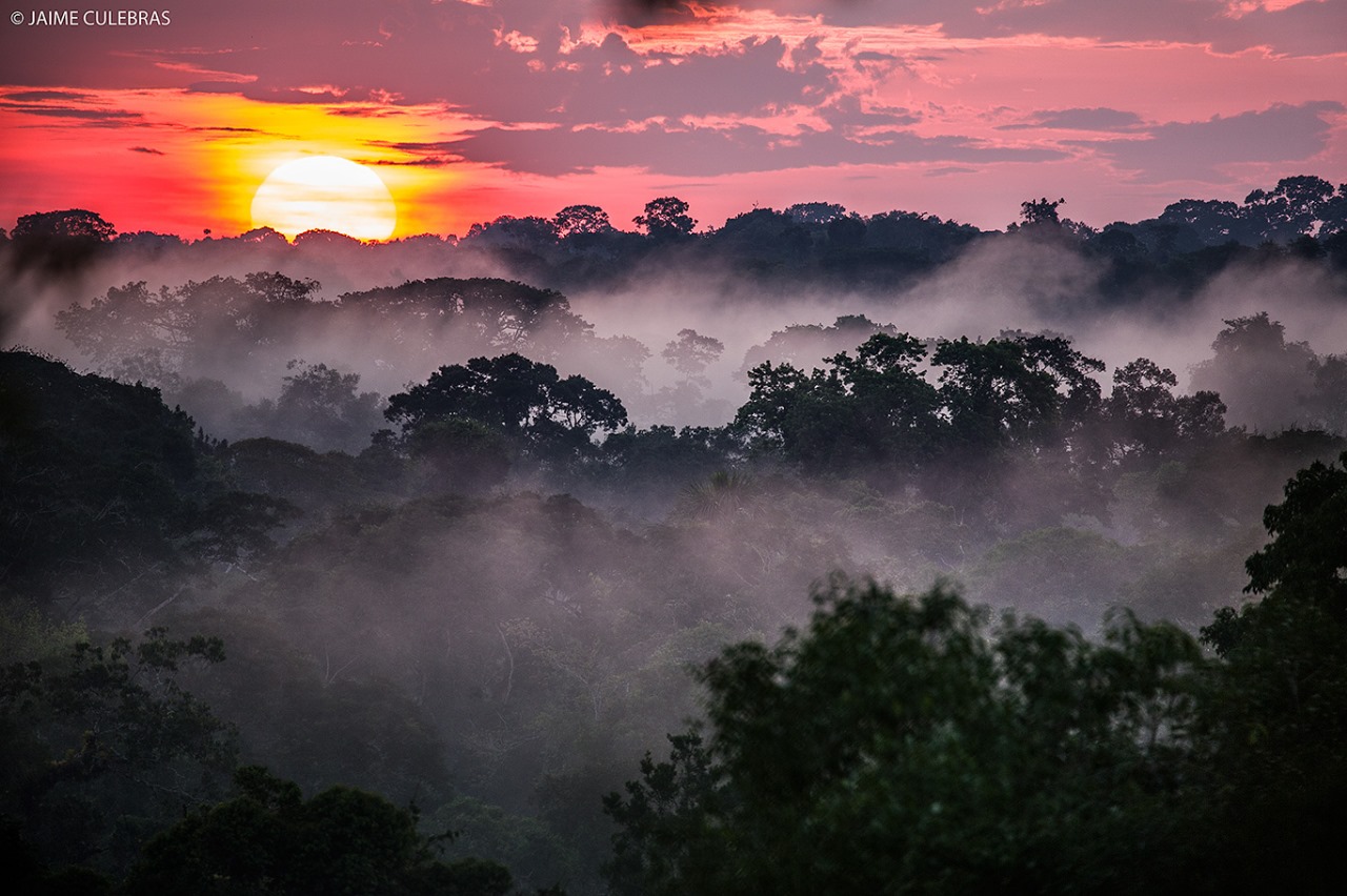 La Universidad San Francisco de Quito desarrolló estudios sobre la conectividad de los ...