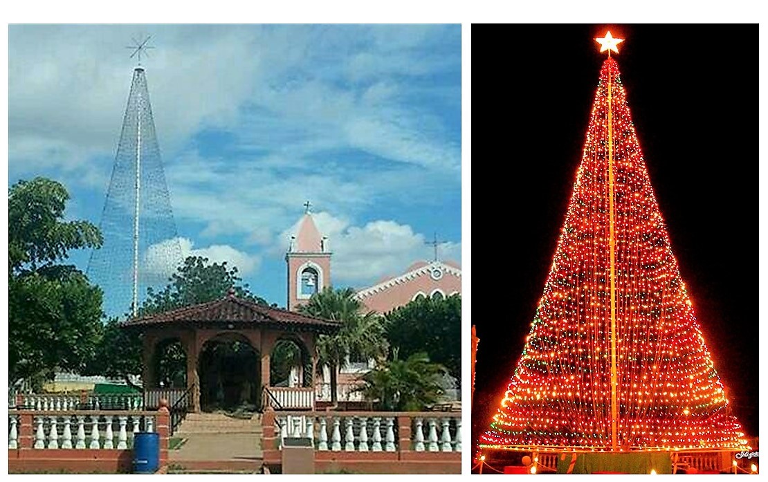 Árbol de Navidad más grande de Centroamérica, atractivo turístico en ...
