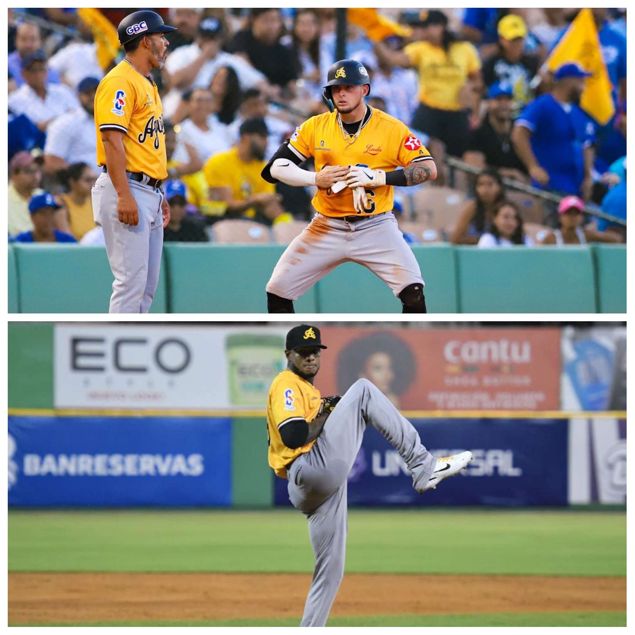 Prieto y Miranda son electos como Águila de la Semana | Noti-America.com