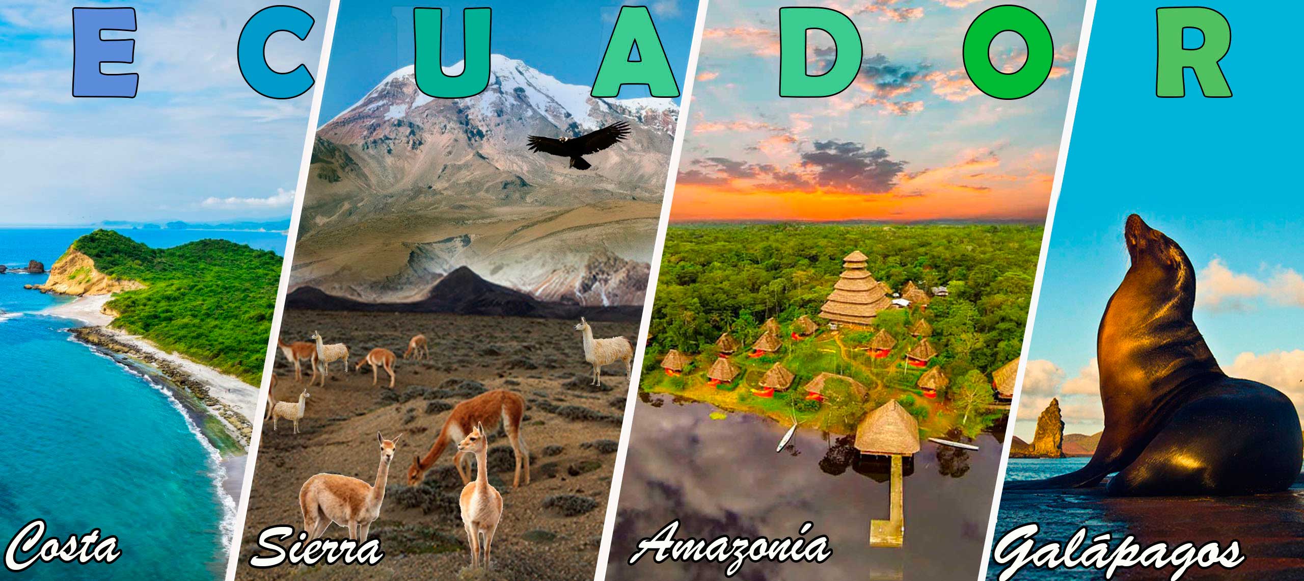 ‘Deja de ser extranjero en tu tierra’, invita a la ciudadanía a ...