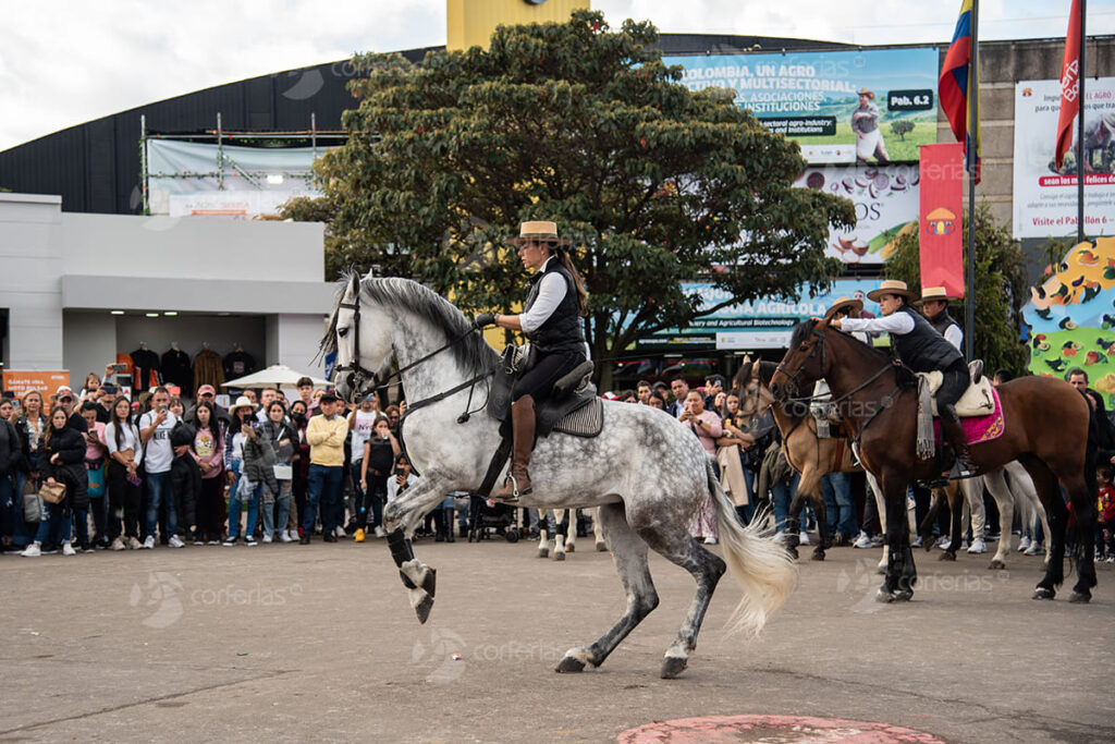 Agroexpo 2025 rompe récords con más de 290 mil asistentes: la feria más ...