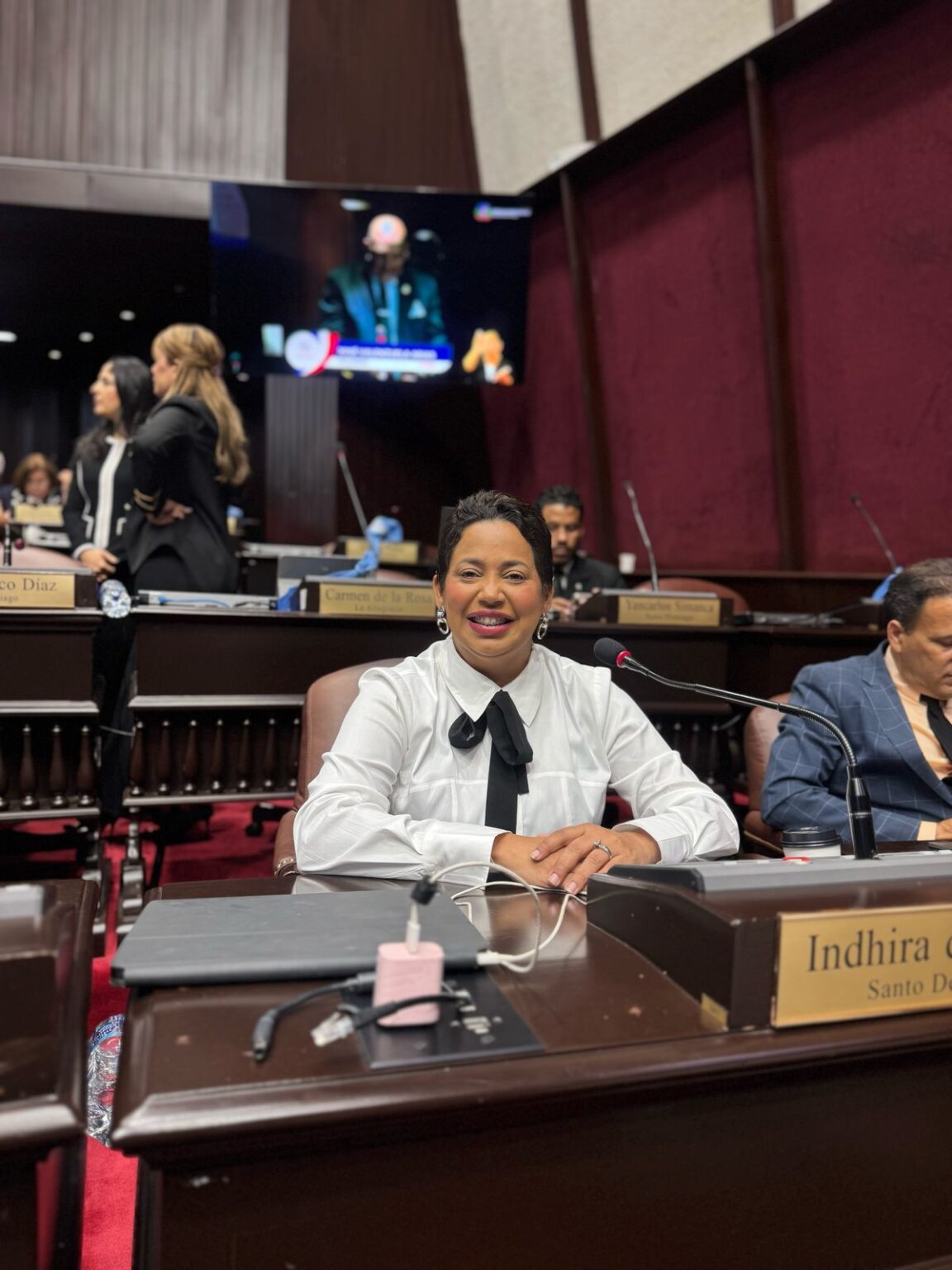 Diputada Indhira De Jesús logra la aprobación de resolución que ...