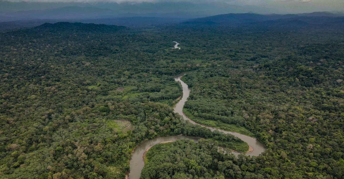 Encuentran a 10 migrantes ahogados en la selva del Darién, en Panamá ...